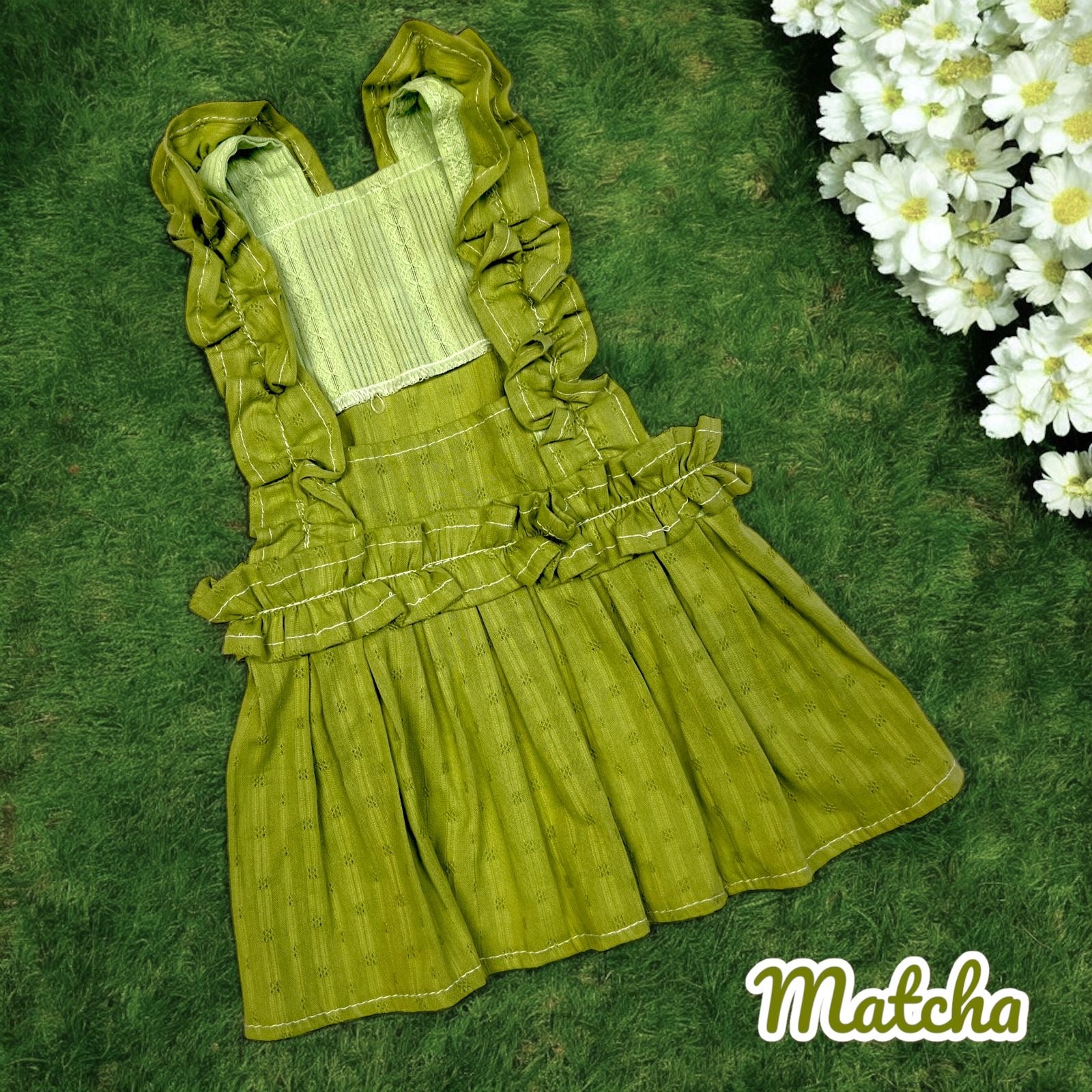 Matcha – Lucky Dog